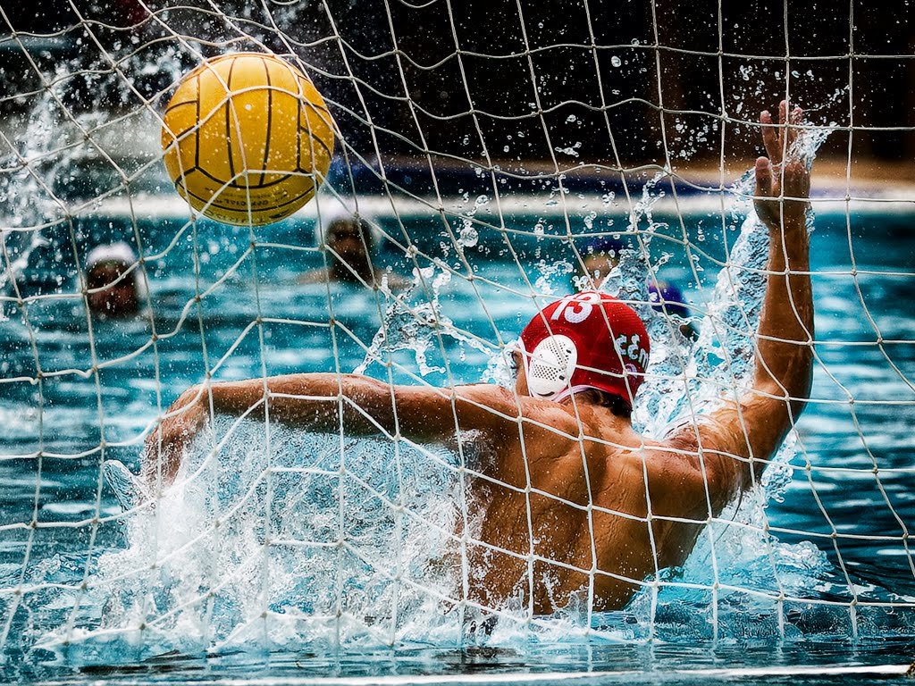 Sports federation «Federation of Water Polo of Ukraine» - information ...